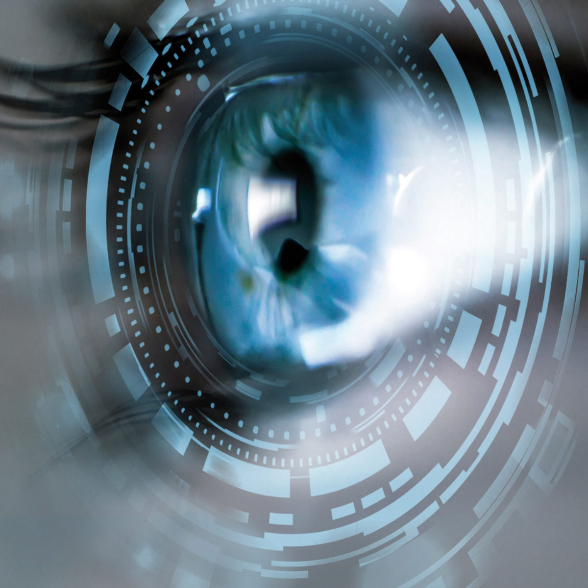 Portfolios | Dr. E. Horn